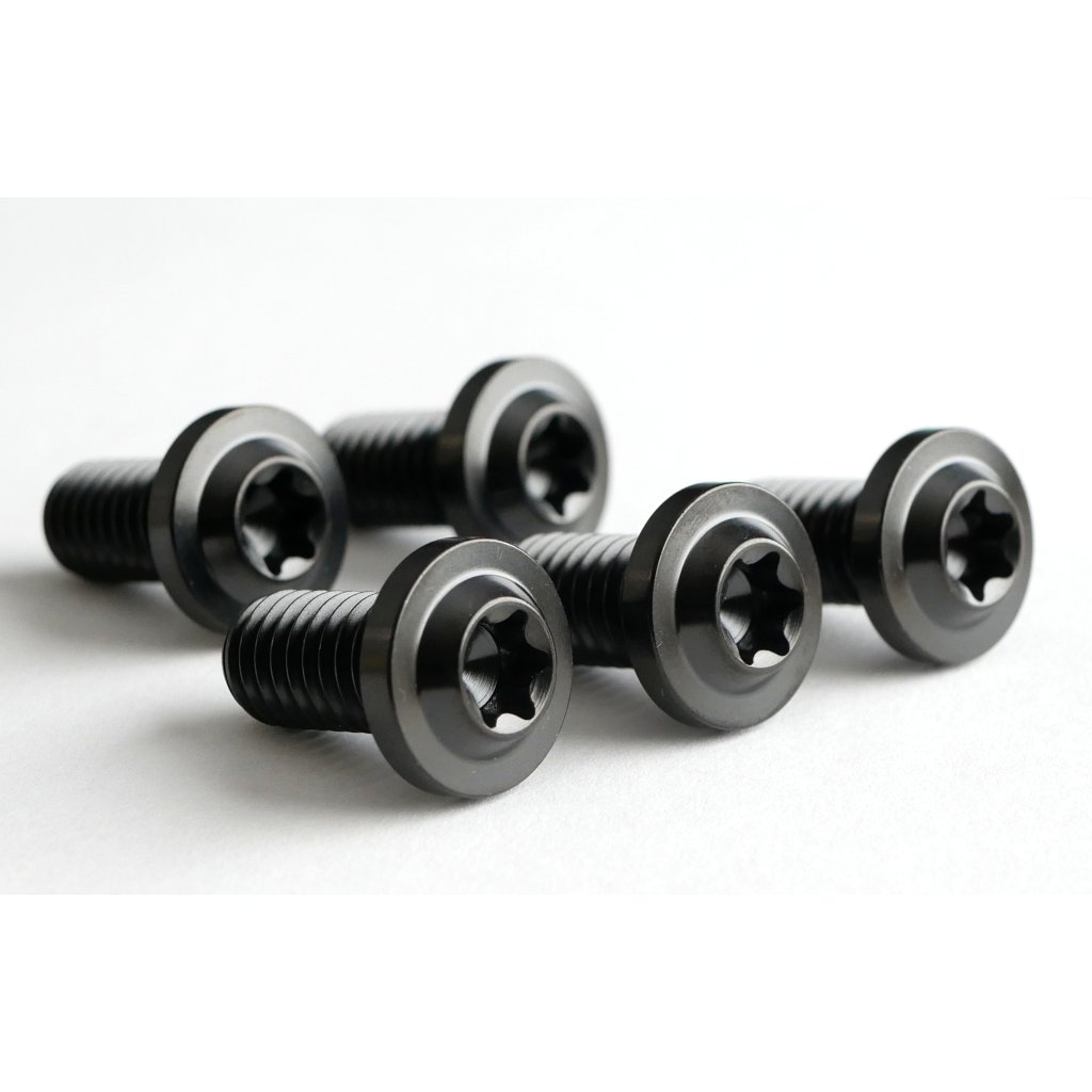 RaceLite Series Black Front Rotor Bolts, 5/16-18x3/4 TORX (5PK) RYD ...
