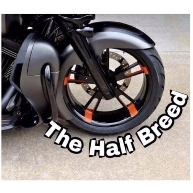 Native Custom Baggers - WanaRyd Motorcycle