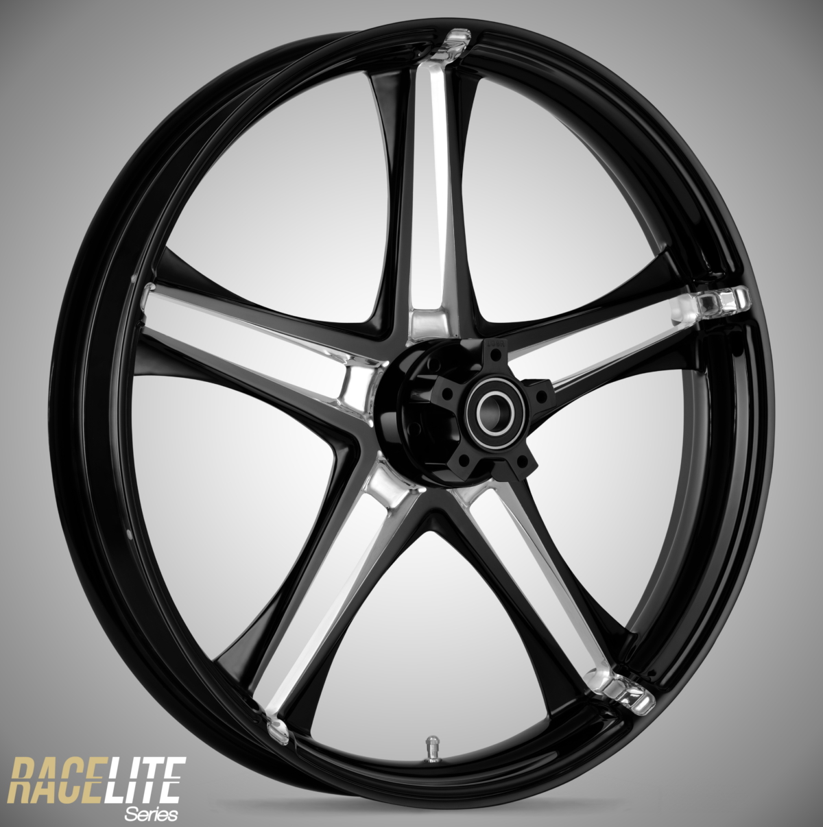 Performance Baggers - WanaRyd Motorcycle